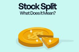 Understanding Dual-Listing Stocks