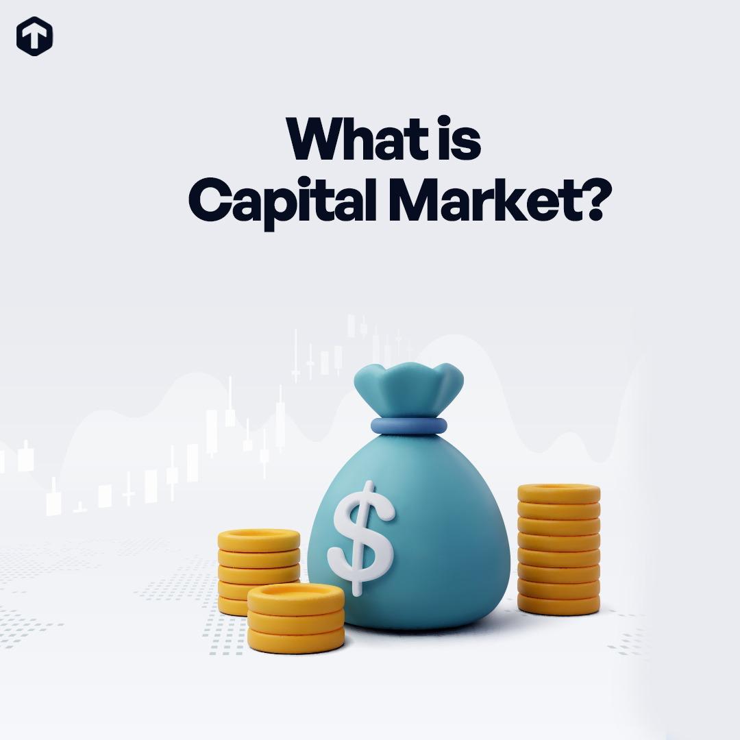 What is a Capital Market? - Trove Blog